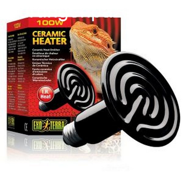 Sürüngen Pazarı | Sürüngen